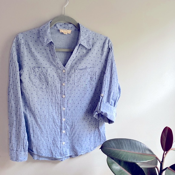 Pink Rose | Tops | Pinkrose Cotton Button Down | Poshmark